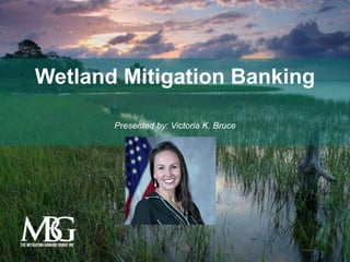 Wetland Mitigation Banking: Strategies and Processes for Ecological Restoration | PPT