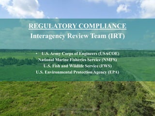 Wetland Mitigation Banking: Strategies and Processes for Ecological ...