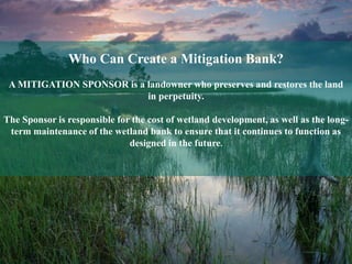 Wetland Mitigation Banking: Strategies and Processes for Ecological ...