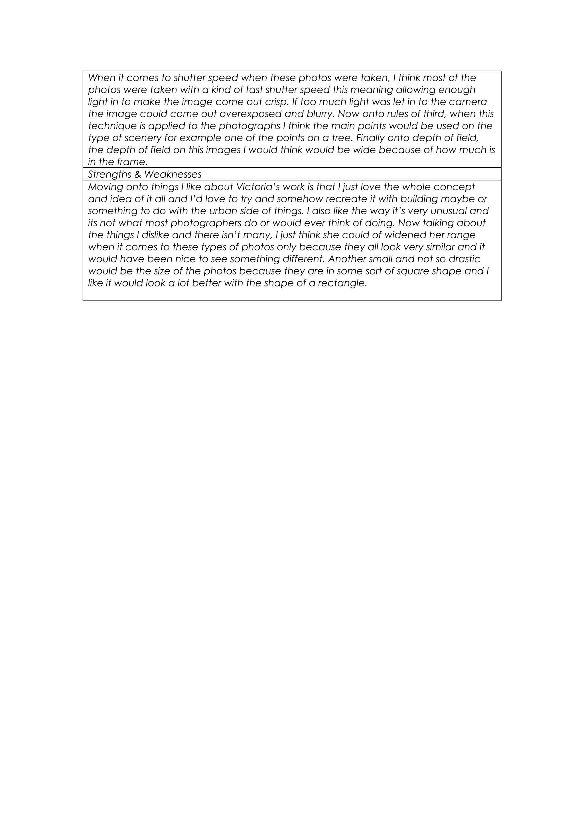 Victoria Siemer Work Sheet Analysis | DOC