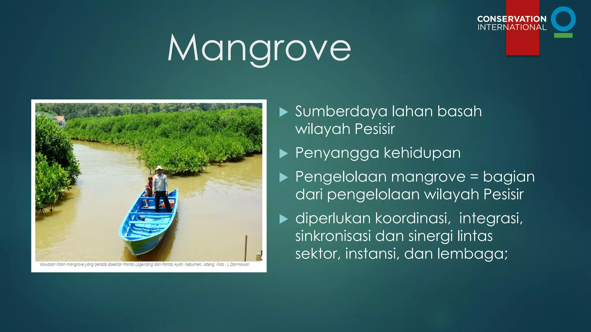 Tantangan dalam pengelolaan ekosistem mangrove di Indonesia | PDF
