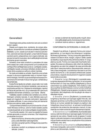 Victor papilian anatomia omului vol 1 aparatul locomotor | PDF