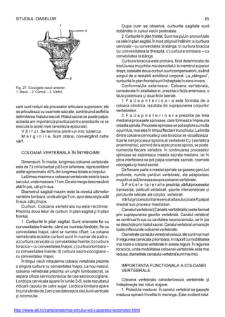 Victor papilian anatomia omului vol 1 aparatul locomotor | PDF