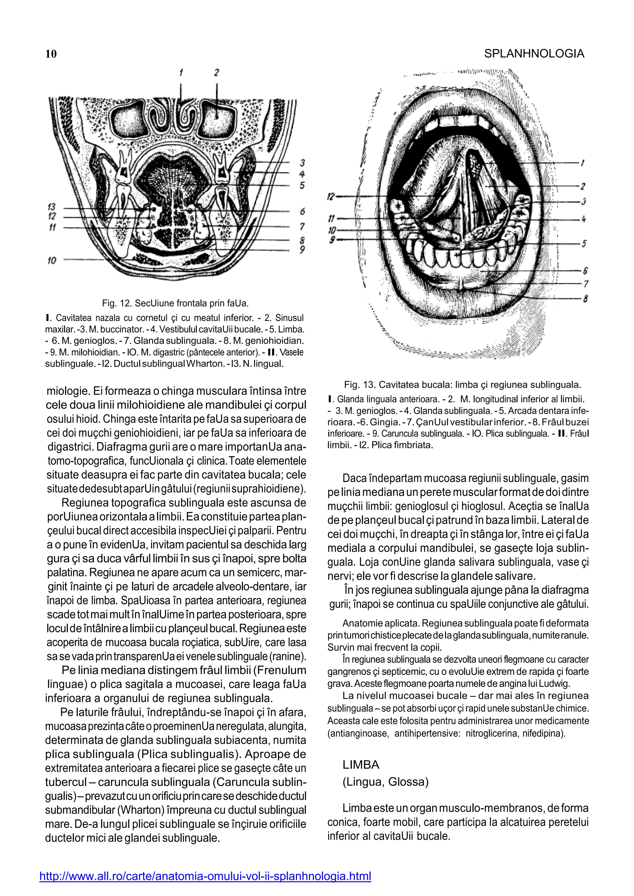 Victor papilian anatomia omului vol 2 splanhnologia | PDF