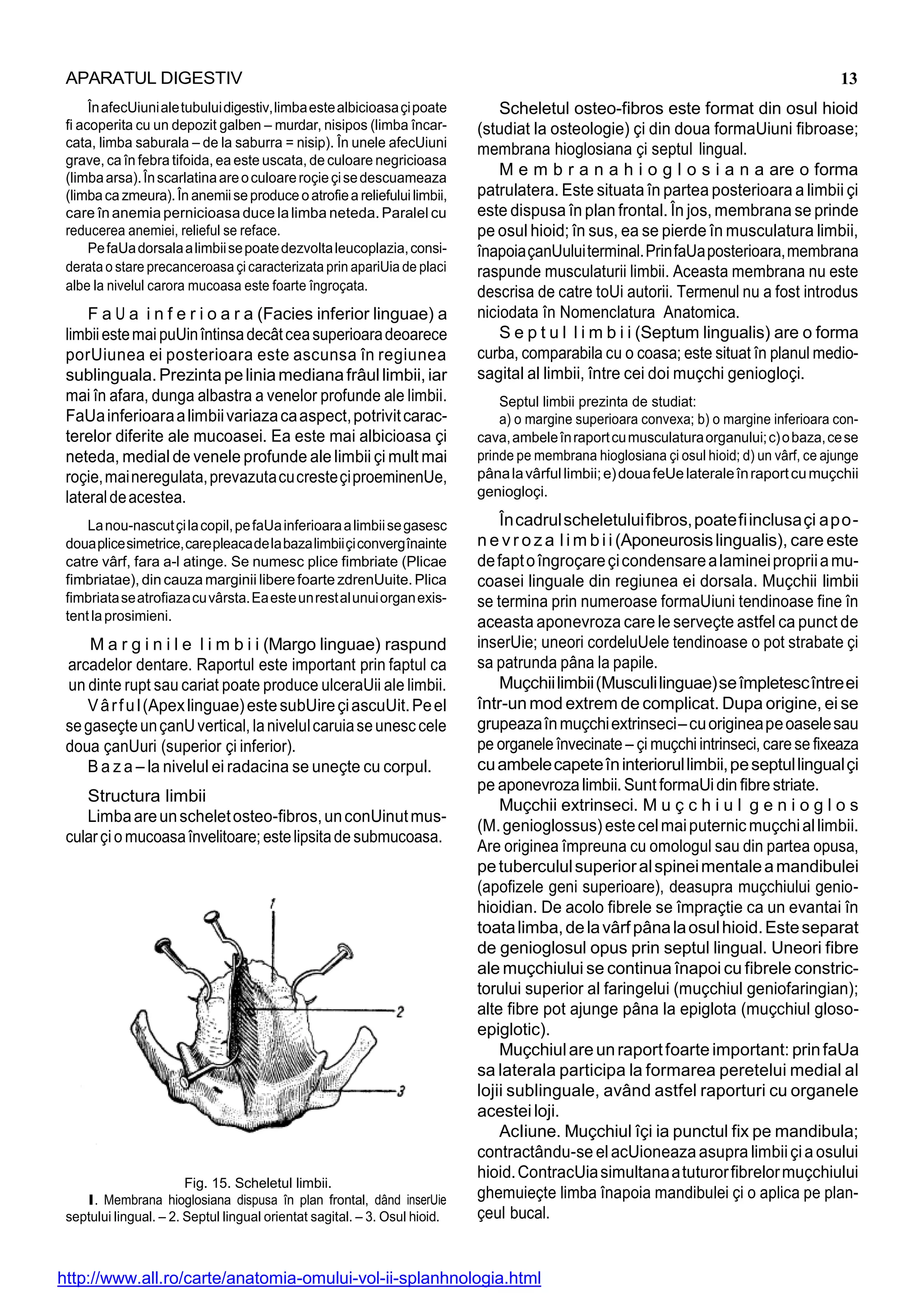 Victor papilian anatomia omului vol 2 splanhnologia | PDF