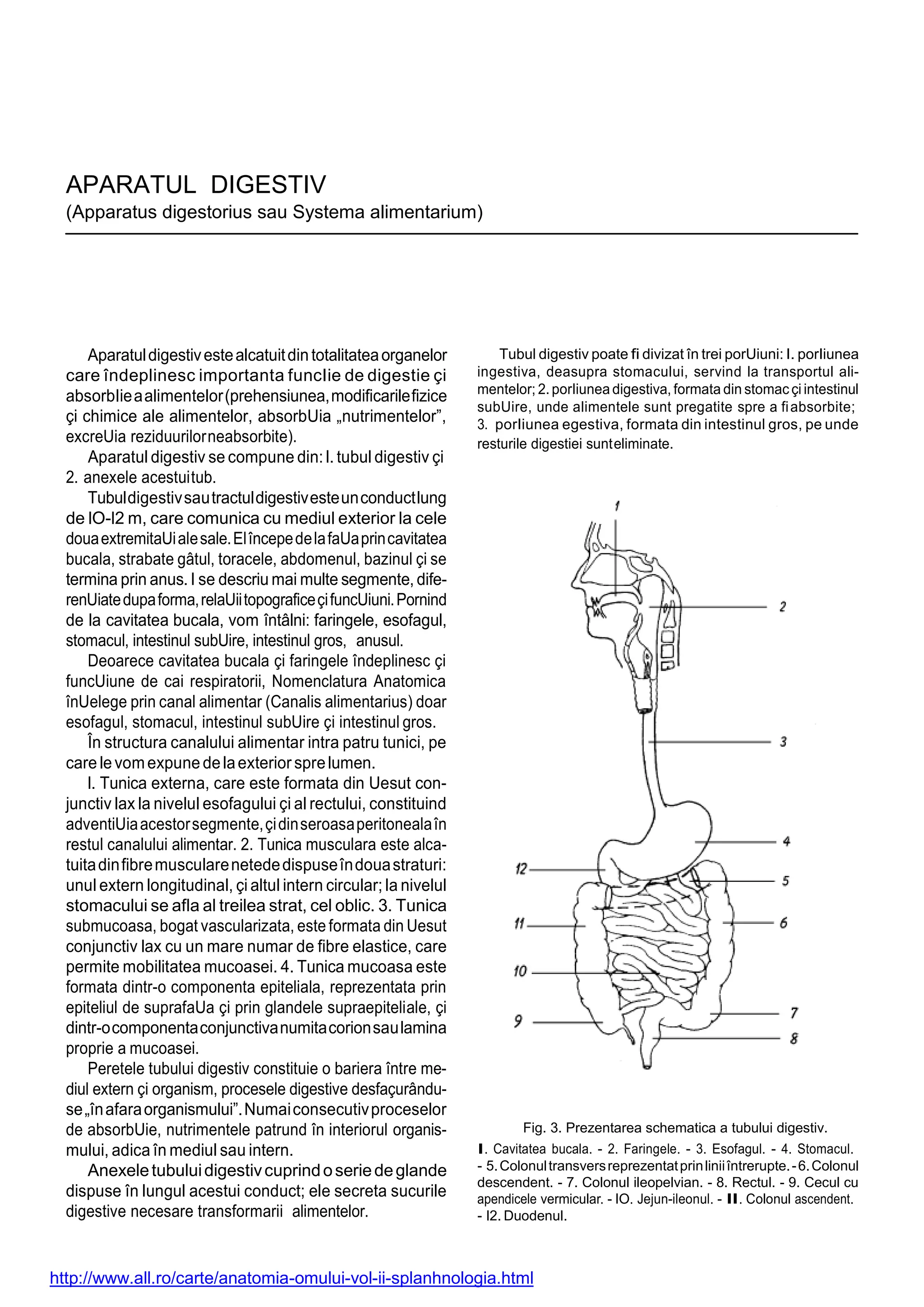 Victor papilian anatomia omului vol 2 splanhnologia | PDF