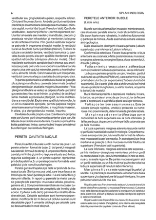 Victor papilian anatomia omului vol 2 splanhnologia | PDF