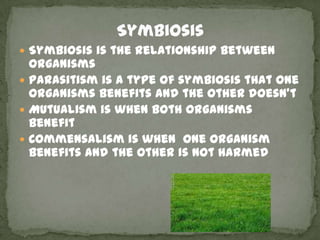 Victor's Ecosystem Power Point | PPTX | Biological Sciences | Science