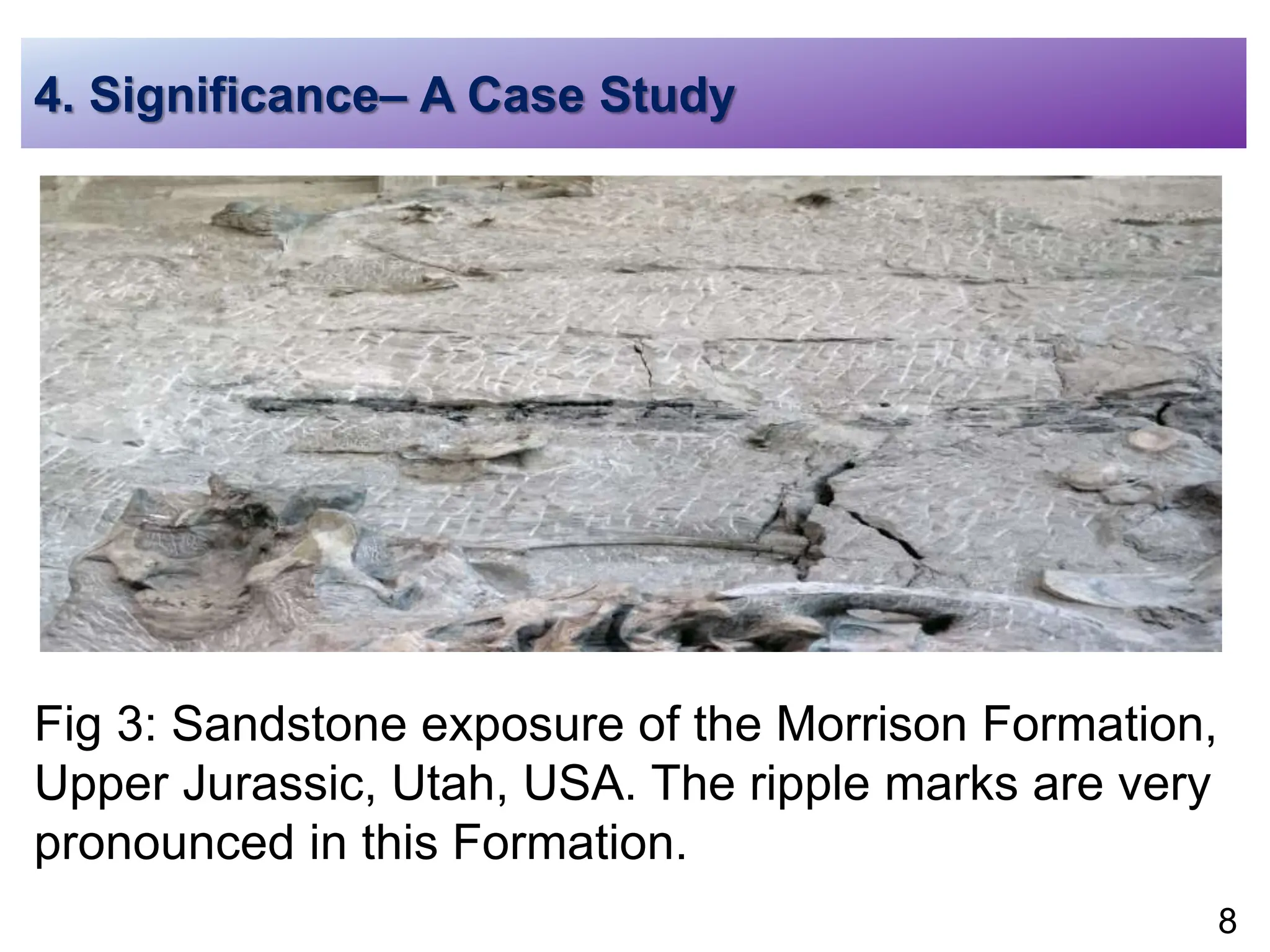 Sedimentary Structures Seminar Slide Pptx