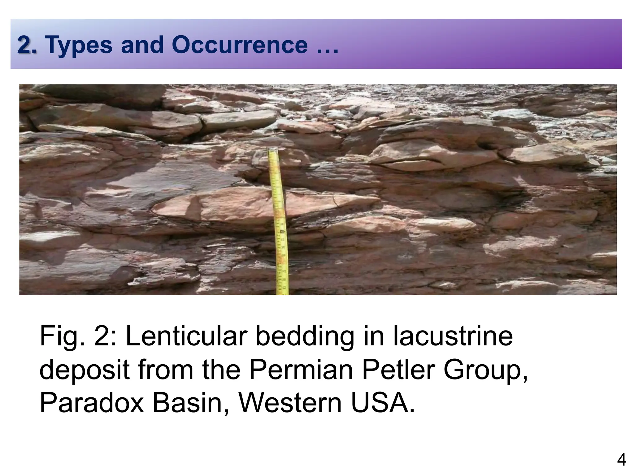 Sedimentary Structures Seminar Slide.pptx