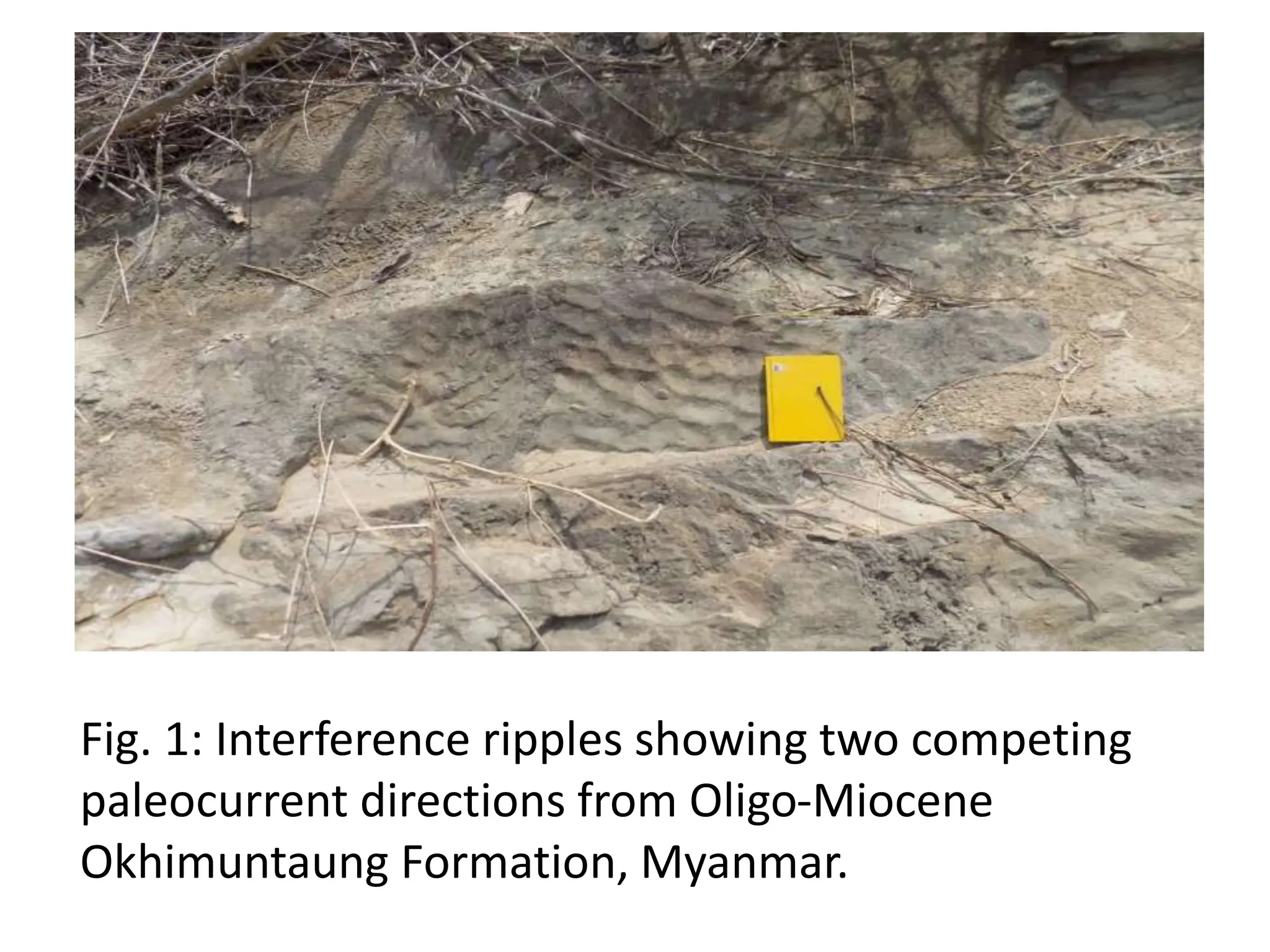 Sedimentary Structures Seminar Slide Pptx