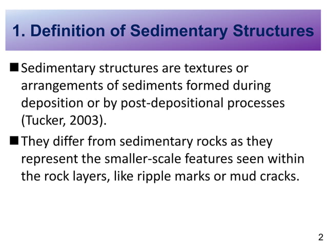 Sedimentary Structures Seminar Slide.pptx