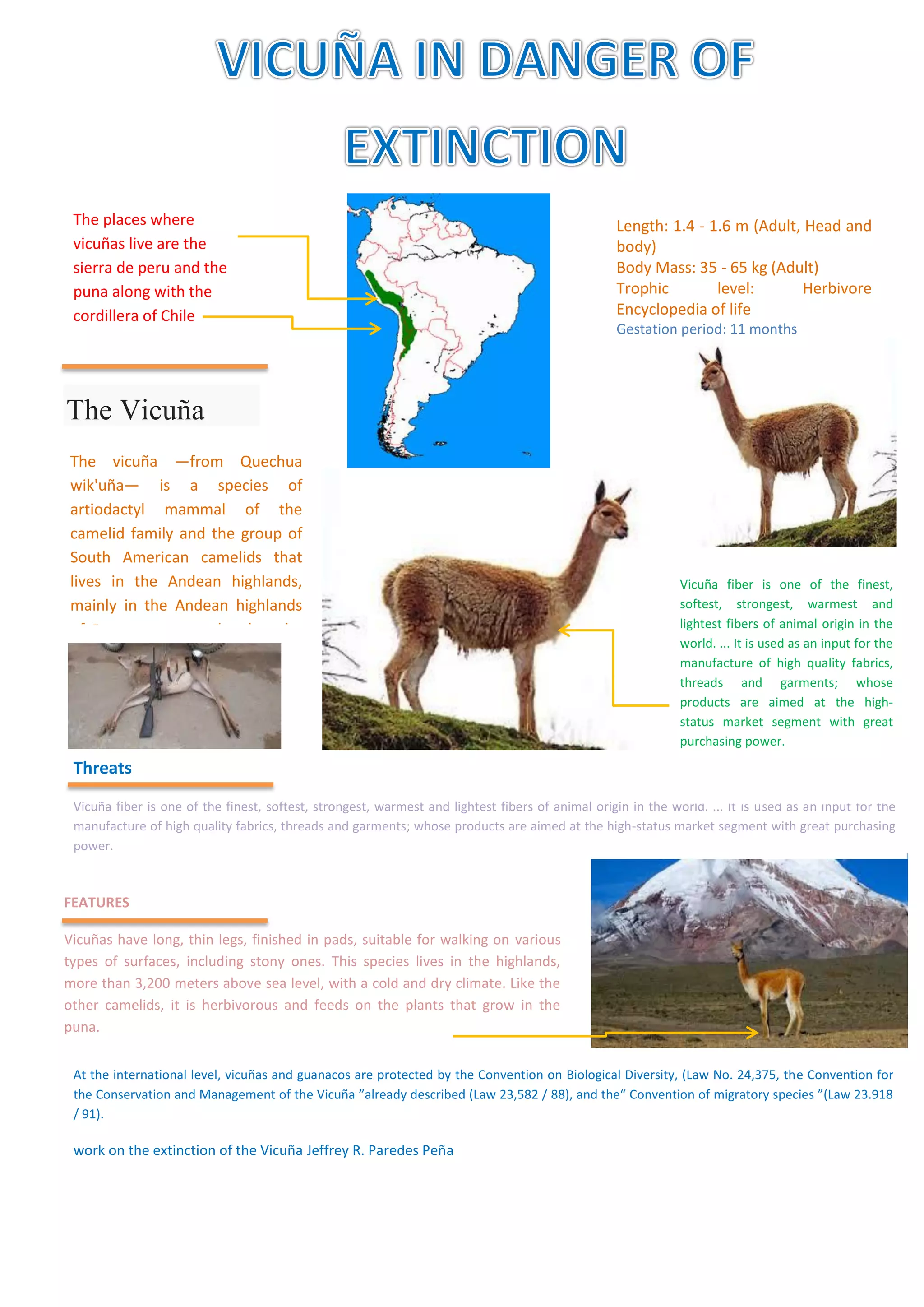VICUÑA.pdf
