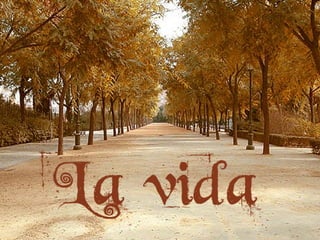 Vida | PPT