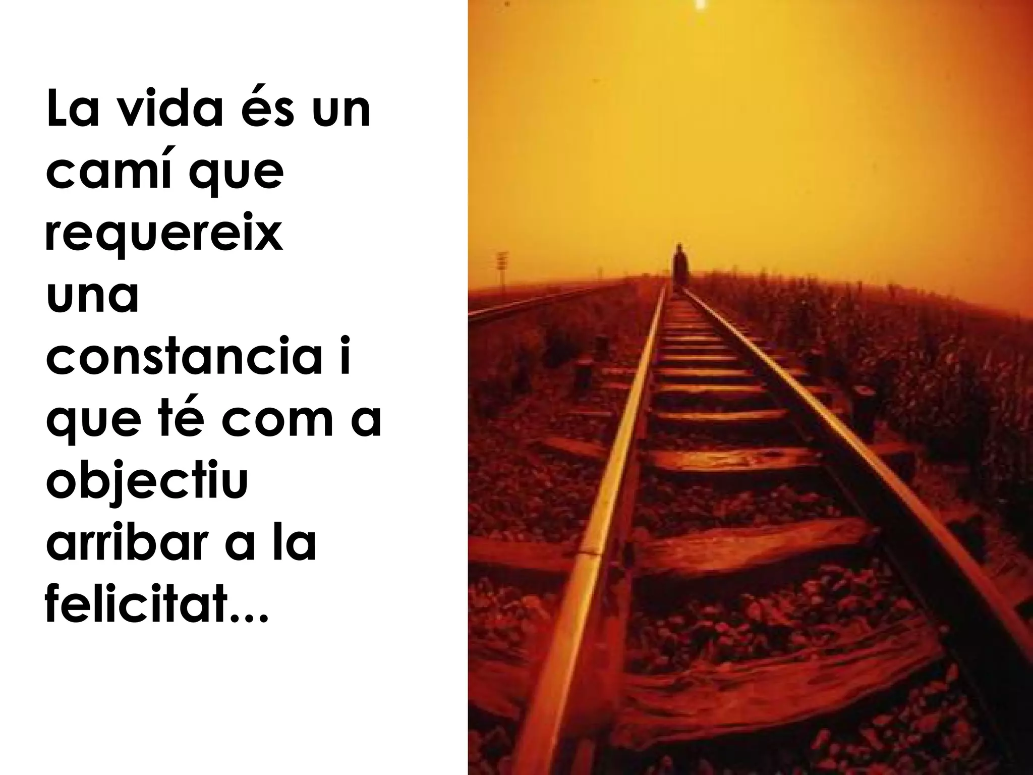 La vida | PPT