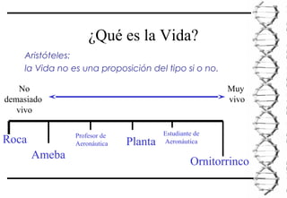 Significado de la Vida | PPT