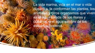 Vida acuatica | PPTX