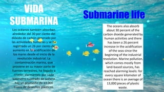 Vida submarina | PPTX