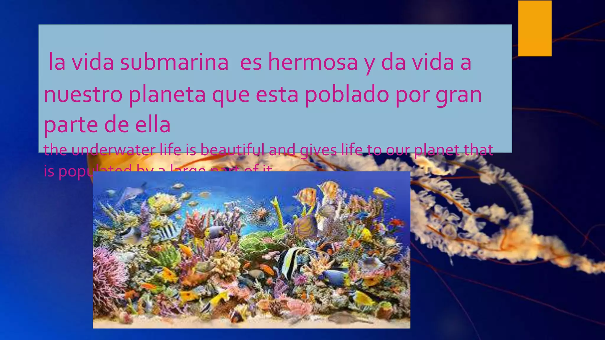 Vida submarina objetivos mundiales. | PPTX | Fish and Aquariums | Pets