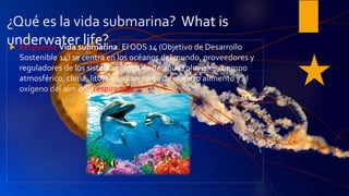 Vida submarina objetivos mundiales. | PPTX