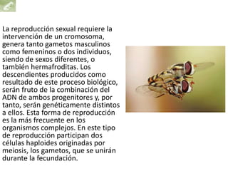 Vida y reproduccion | PPTX