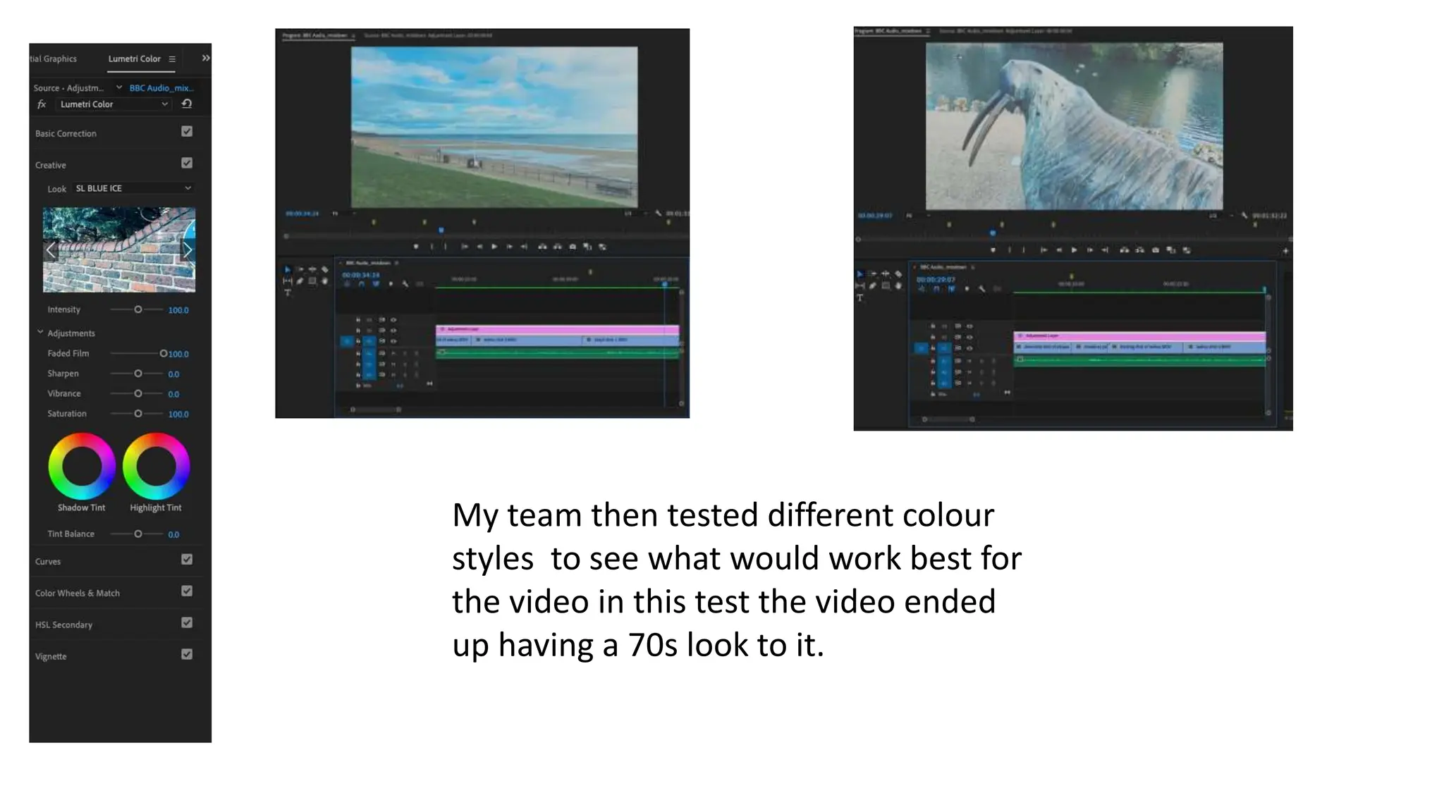 VID EDITING BBC .pptx 66666666666666666666666666666 | PPTX