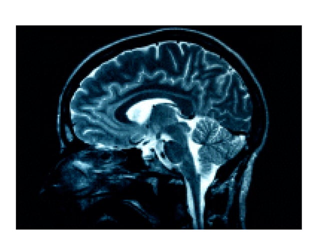 Video Games for the Social Studies | PPT