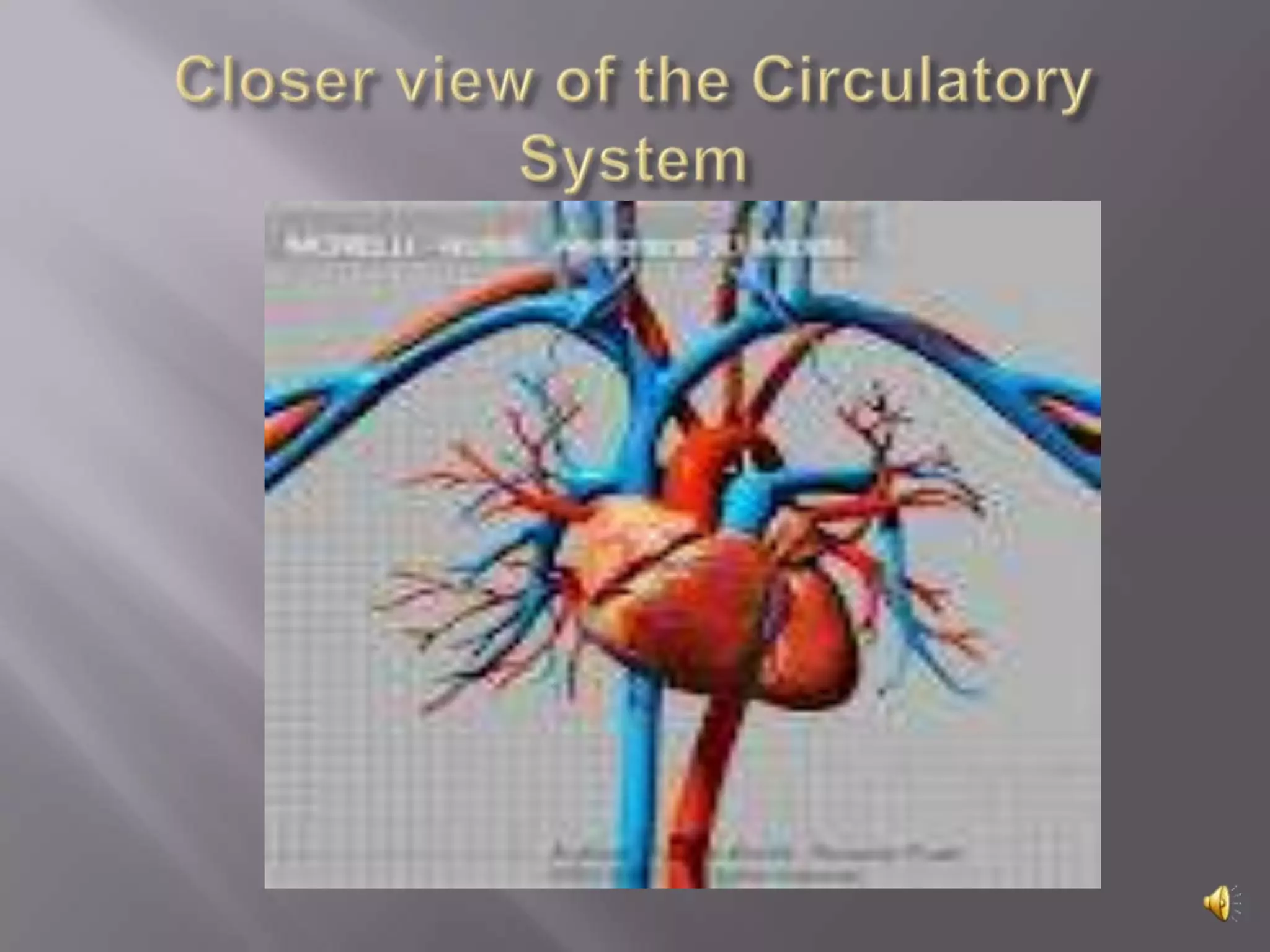 Video 1 circulatory system | PPTX | Heart and Cardiovascular Diseases | Diseases and Conditions