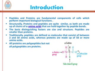 peptides proteins ppt | PPTX