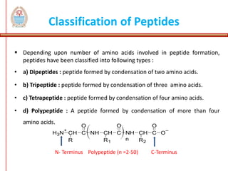 peptides proteins ppt | PPTX