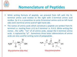 peptides proteins ppt | PPTX