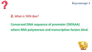 5 key concepts of regulation of gene expression | PPTX