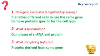 5 key concepts of regulation of gene expression | PPTX