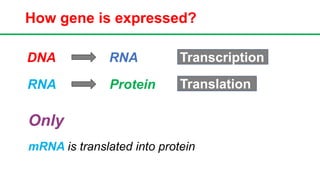 5 key concepts of regulation of gene expression | PPTX