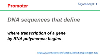 5 key concepts of regulation of gene expression | PPTX
