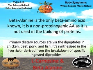 Paleo Proteins Perfected: 6 of 11; L-carnosine & beta-alanine | PPTX