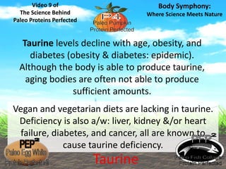 Paleo Proteins Perfected: 9 of 11; Taurine | PPTX