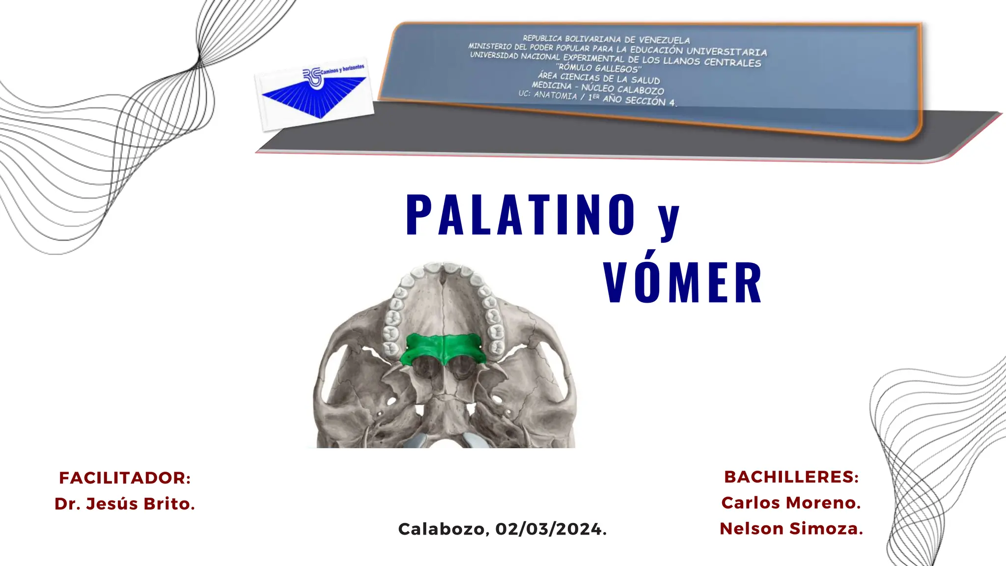 Video Anatomia hueso palatino y vomer.pptx