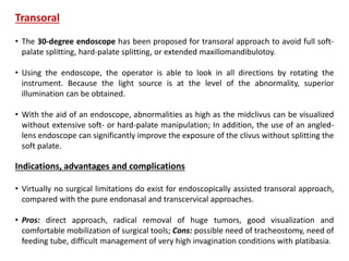 Video assissted anterior approaches to cvj | PPT