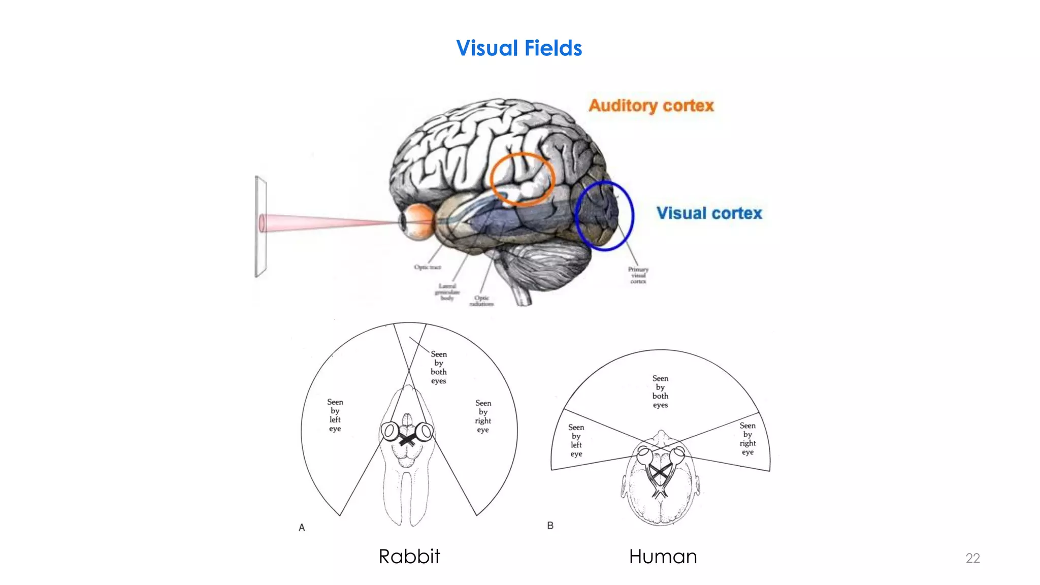 Video Compression Part 1 Video Principles | PDF