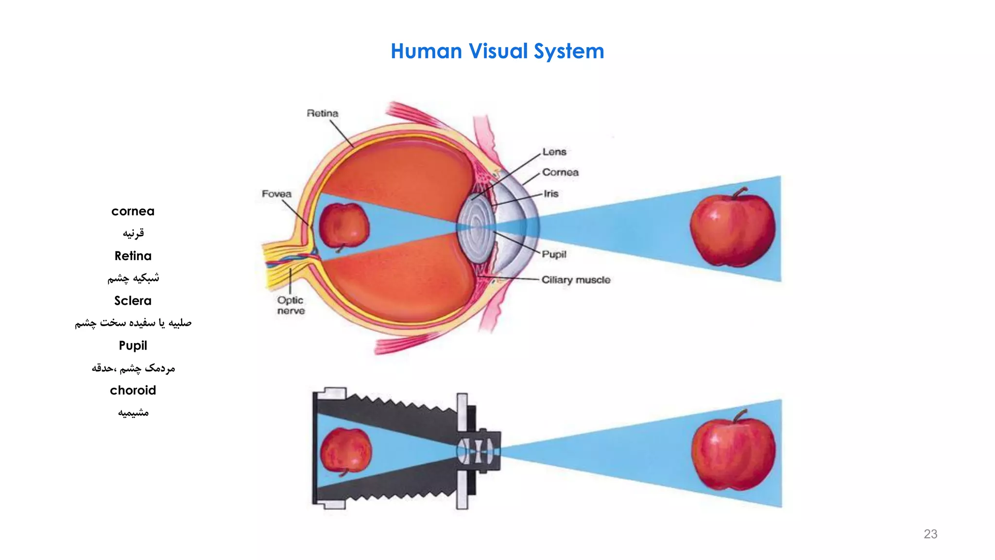 Video Compression Part 1 Video Principles | PDF