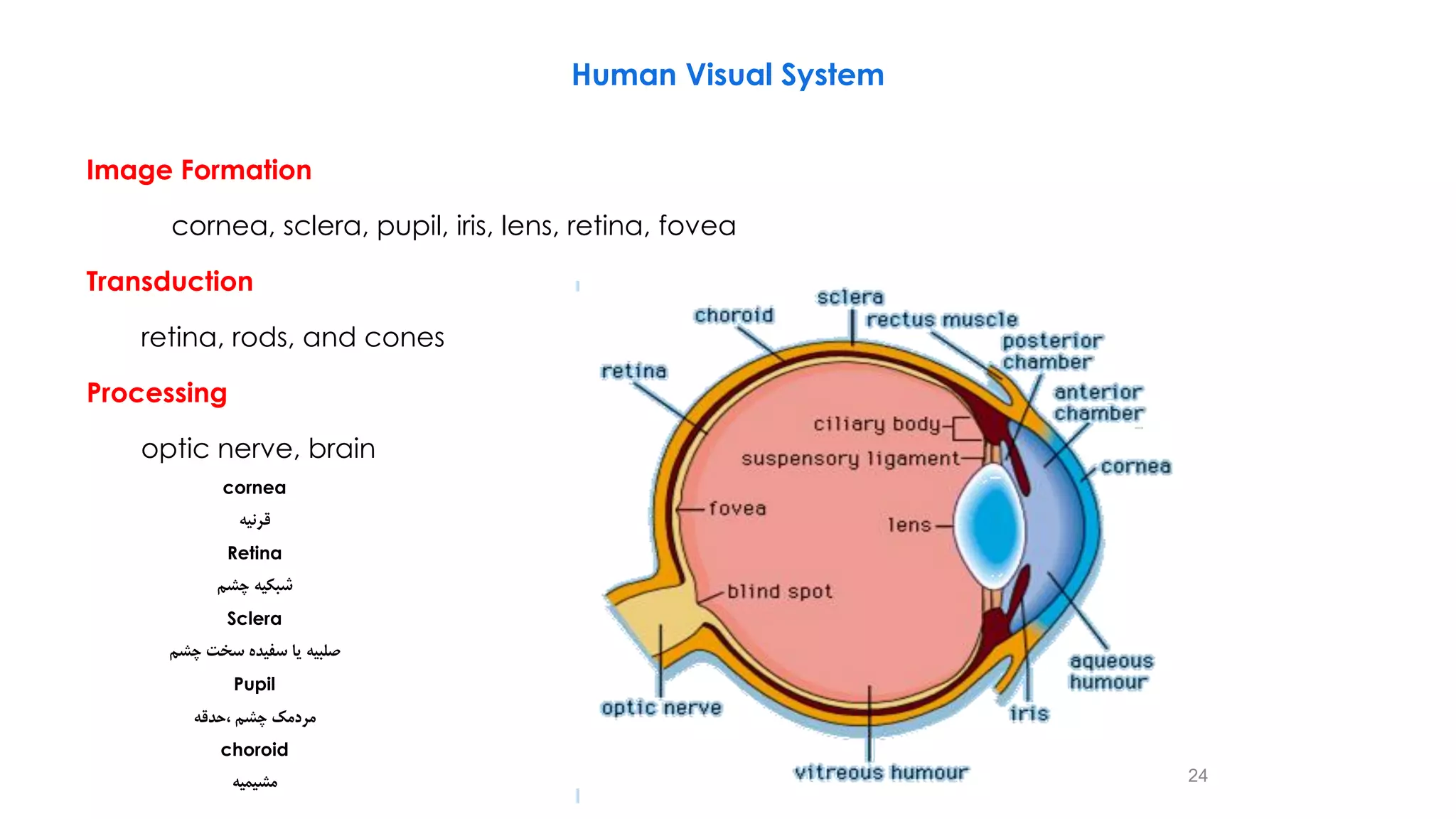 Video Compression Part 1 Video Principles | PDF