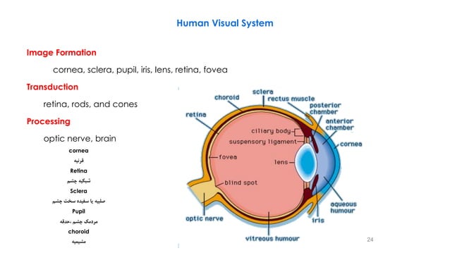 Video Compression Part 1 Video Principles | PDF | Computer Peripherals | Computing