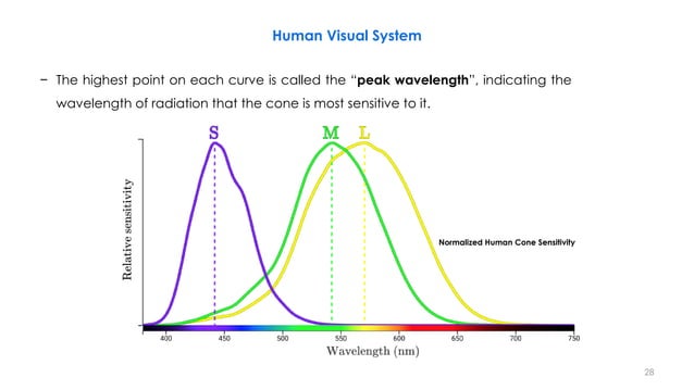 Video Compression Part 1 Video Principles | PDF | Computer Peripherals ...