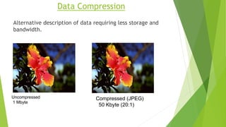 Videoconference | PPT