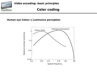 Video enc basic_p_pt_type | PDF