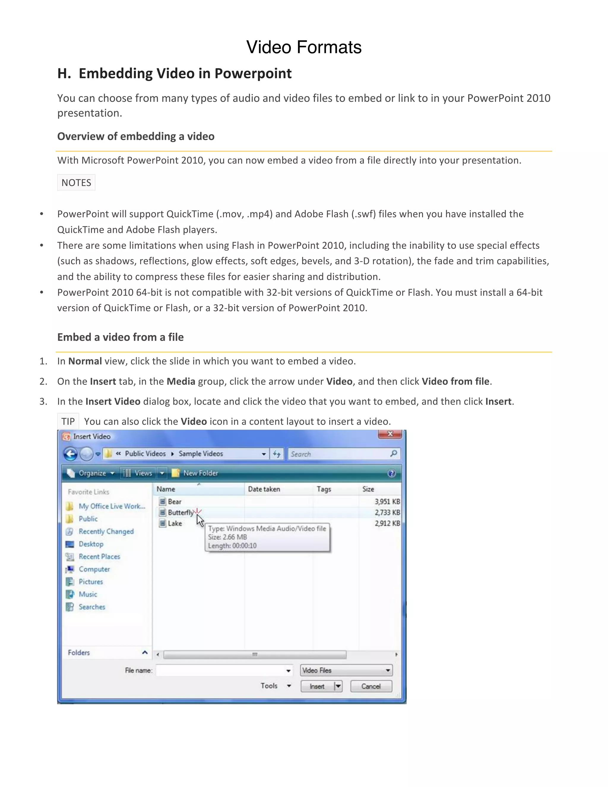 Video formats guide | PDF