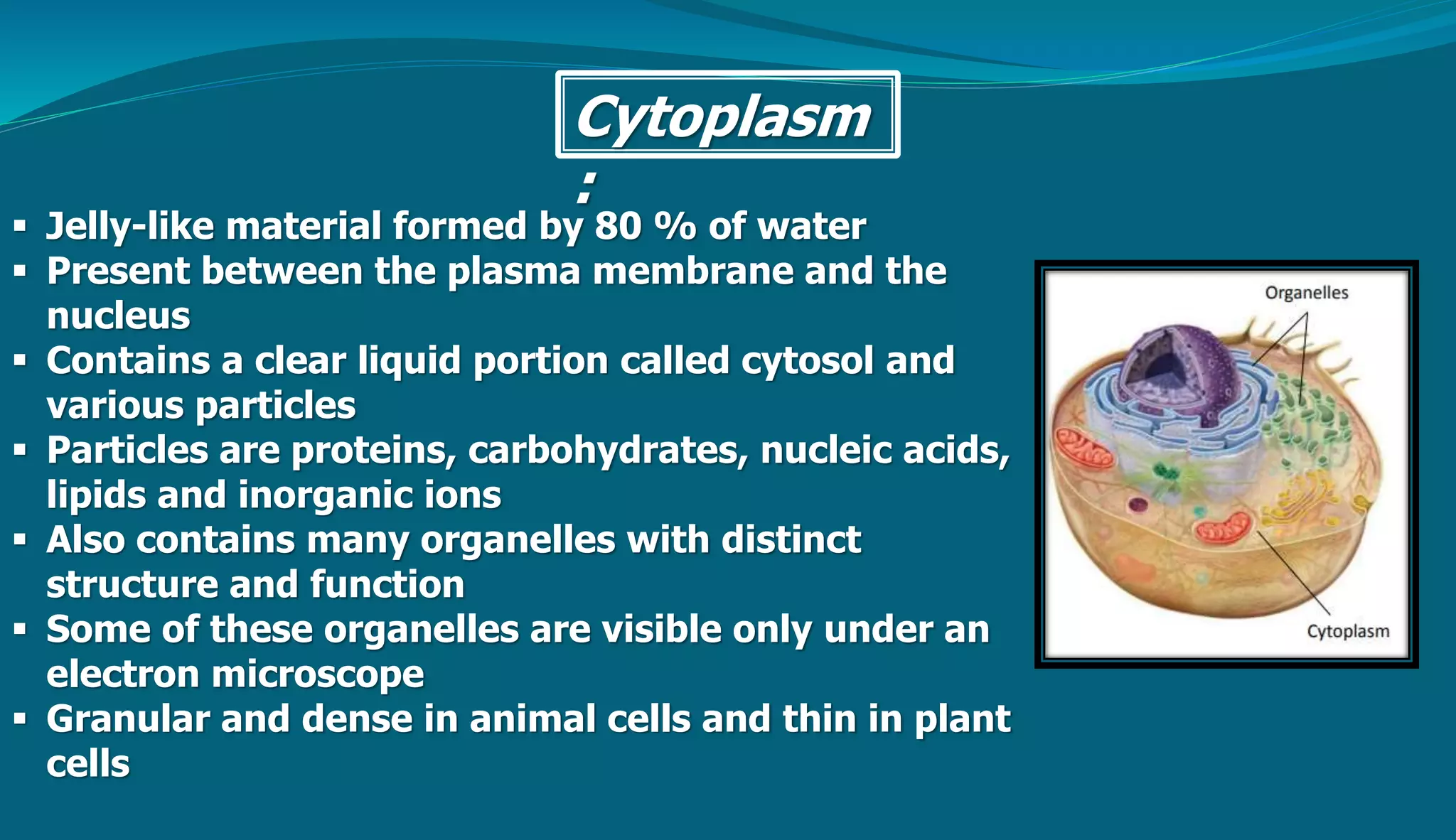 ppt from cell to organisms | PPTX