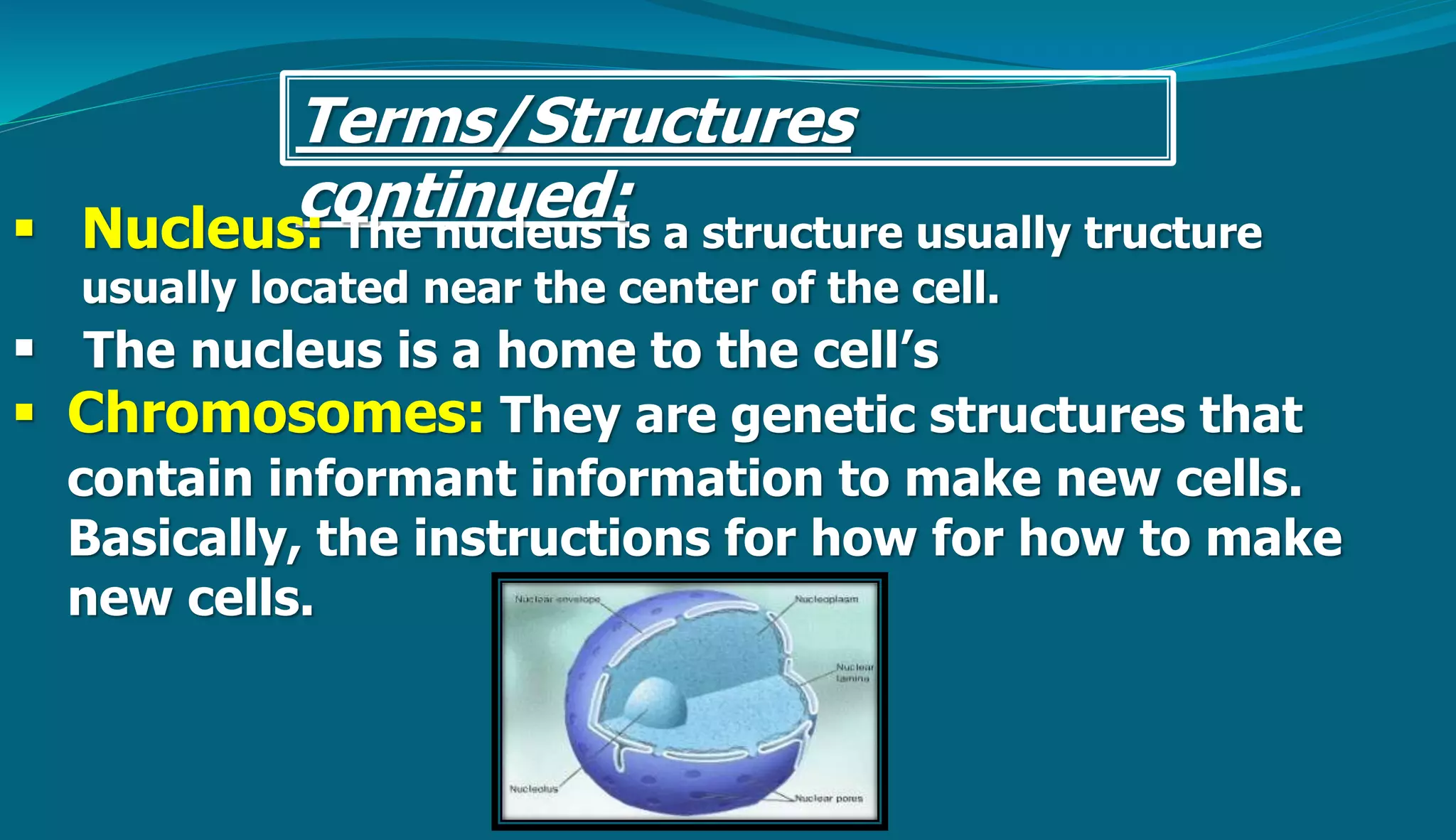 ppt from cell to organisms | PPTX