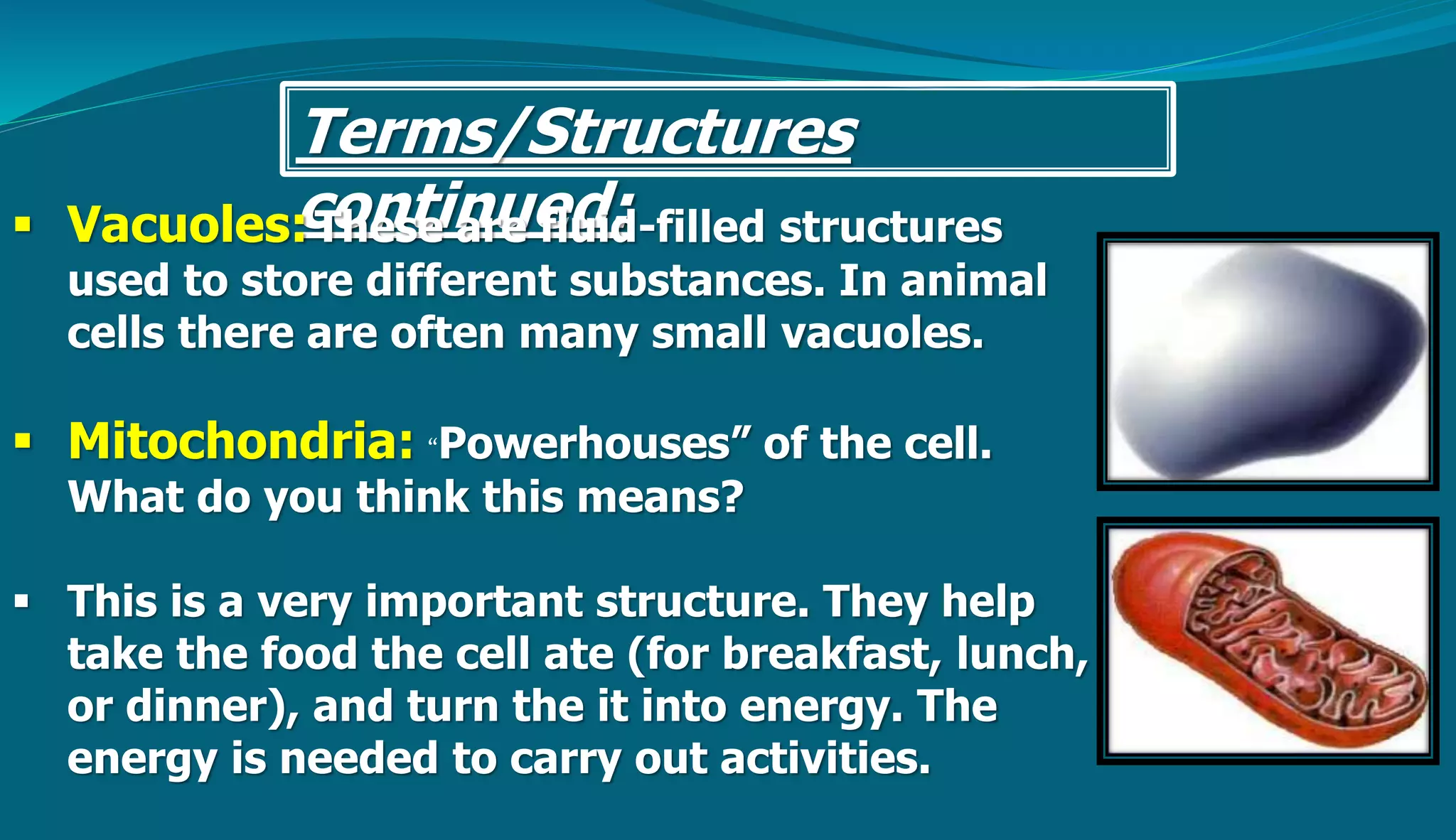 ppt from cell to organisms | PPTX